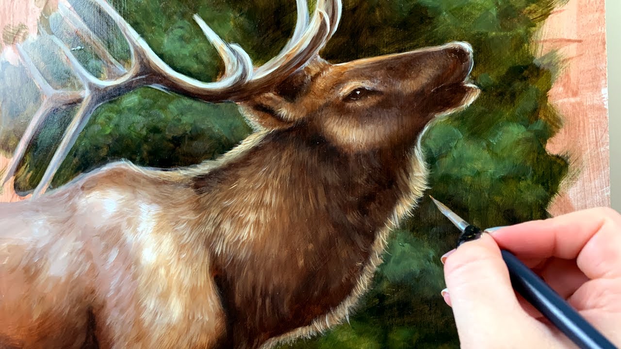 How To Paint A Realistic ELK - YouTube