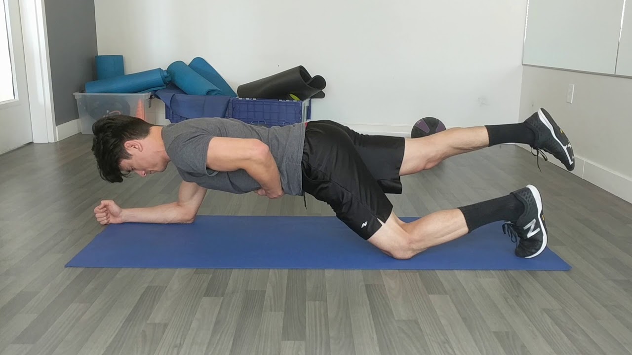 Bird Dog Plank - YouTube