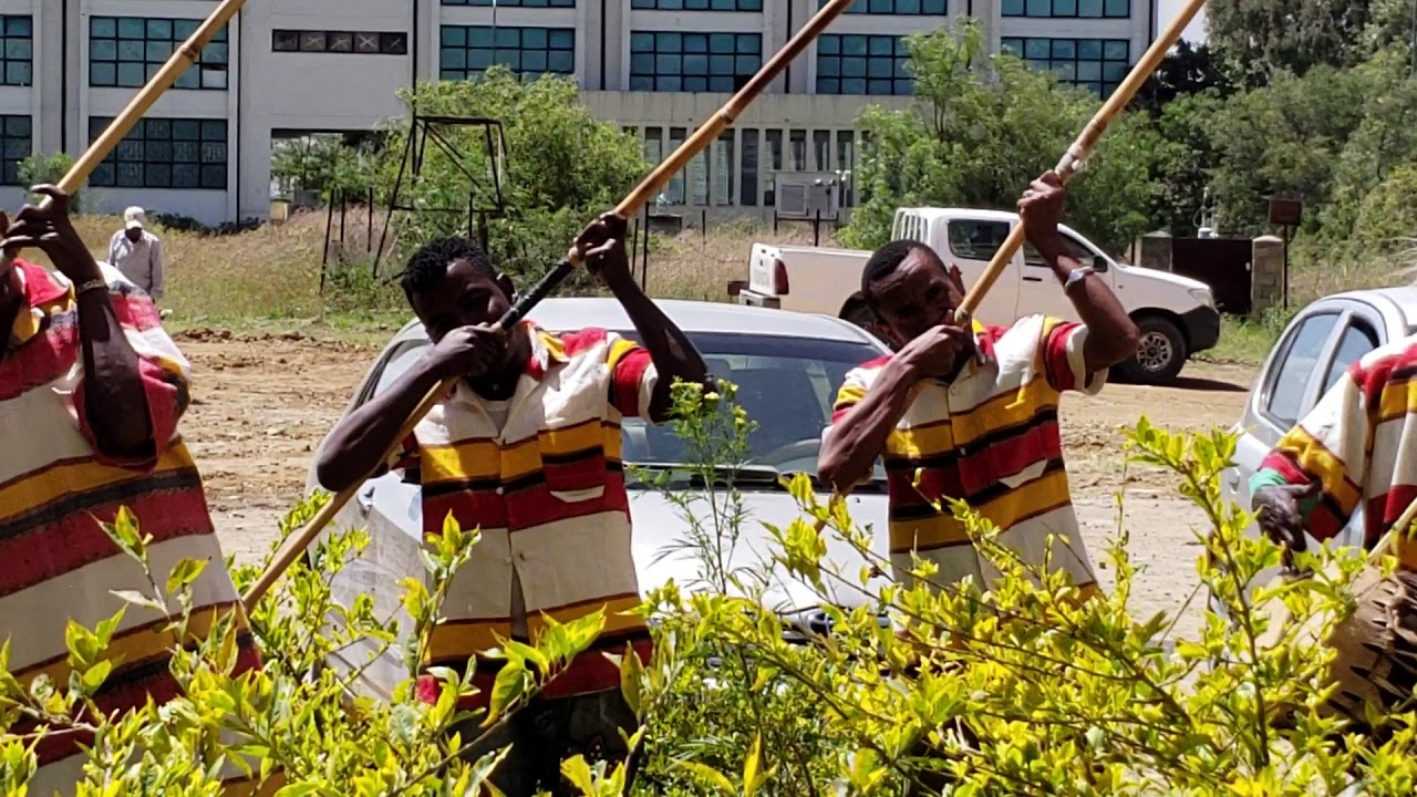 Dawro Dinka Demonstration at ICES 20 (October 3, 2018) - YouTube