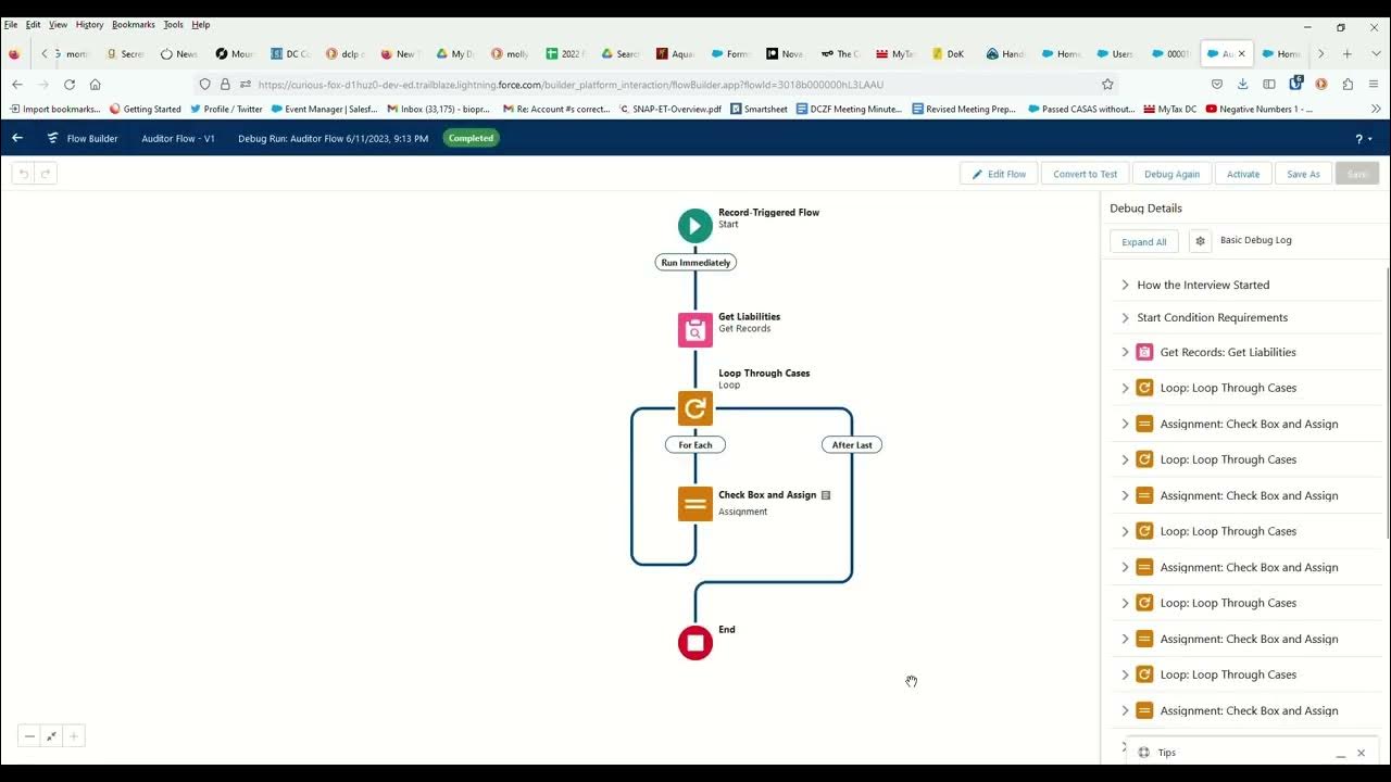 Salesforce Loop and Assignment Flows for Beginners - YouTube