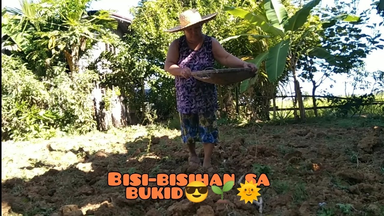 Busy sa bukid - YouTube