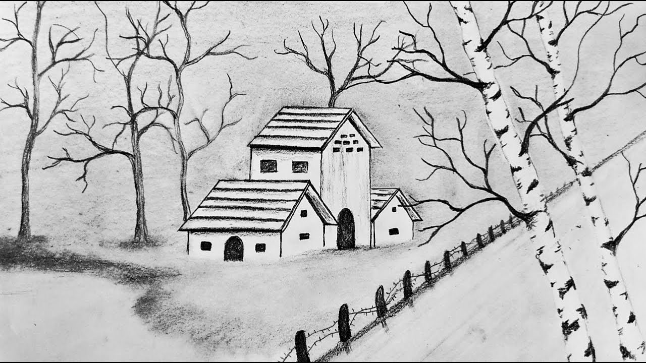 Birch tree landscape drawing for beginners by pencil - YouTube