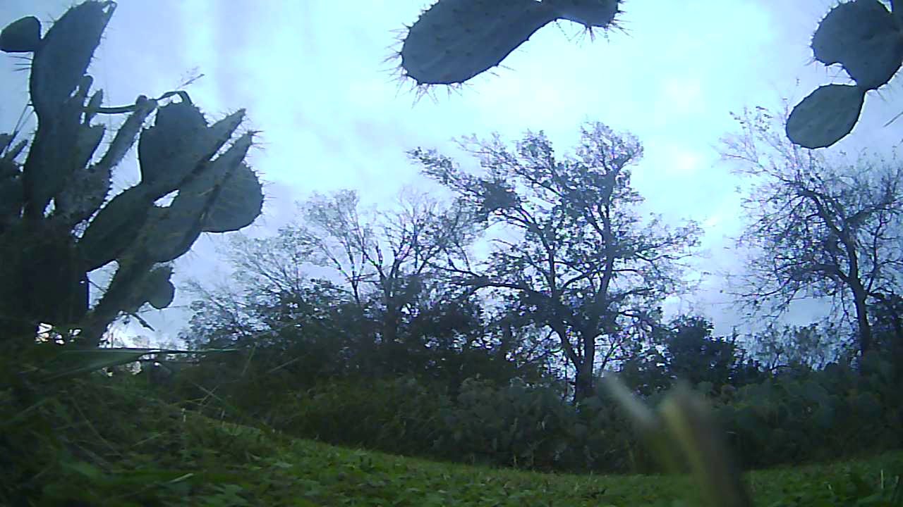 Vortex 150 mini acro finding a couple of gaps - YouTube