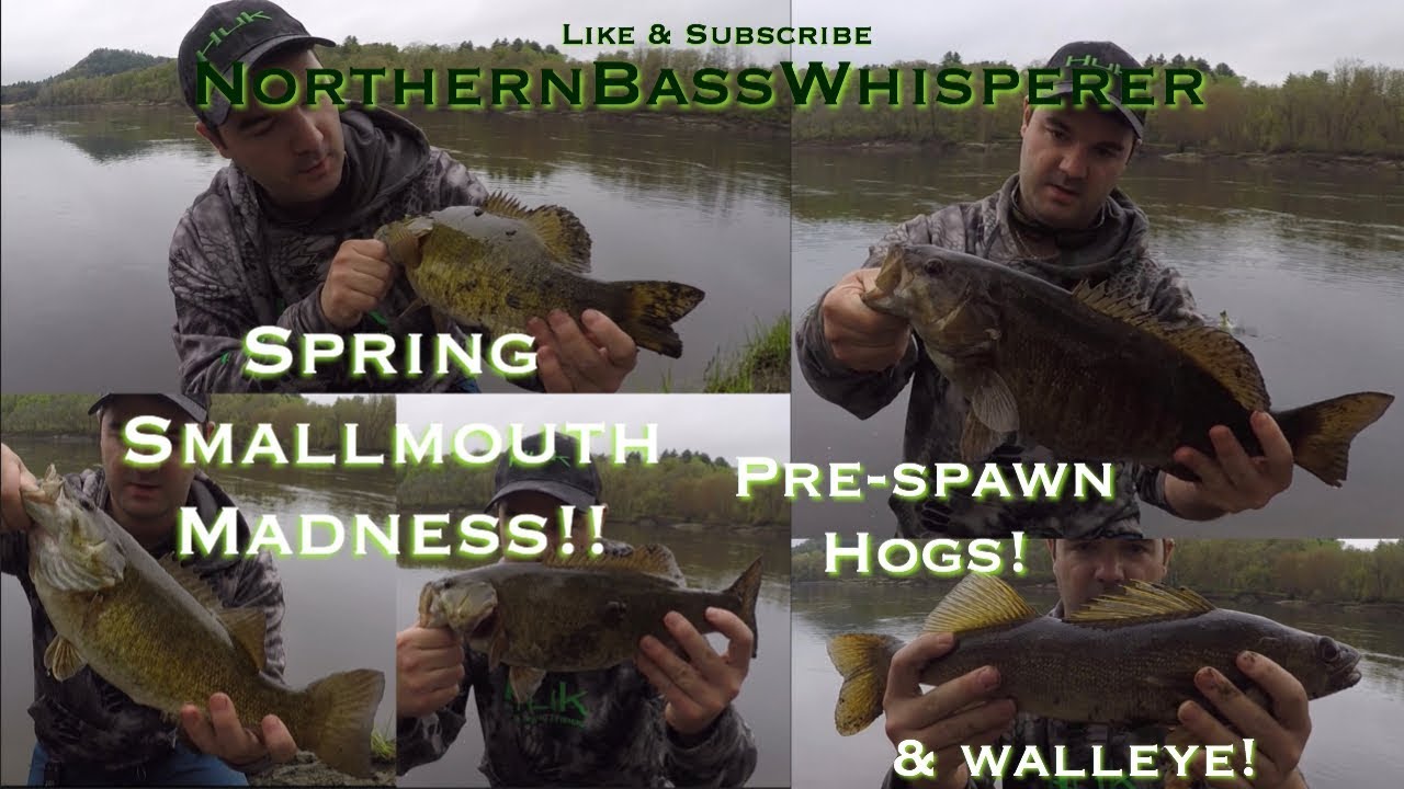 Pre-Spawn Spring Madness!! Smallmouth Bass Crushing Strike King Rage ...
