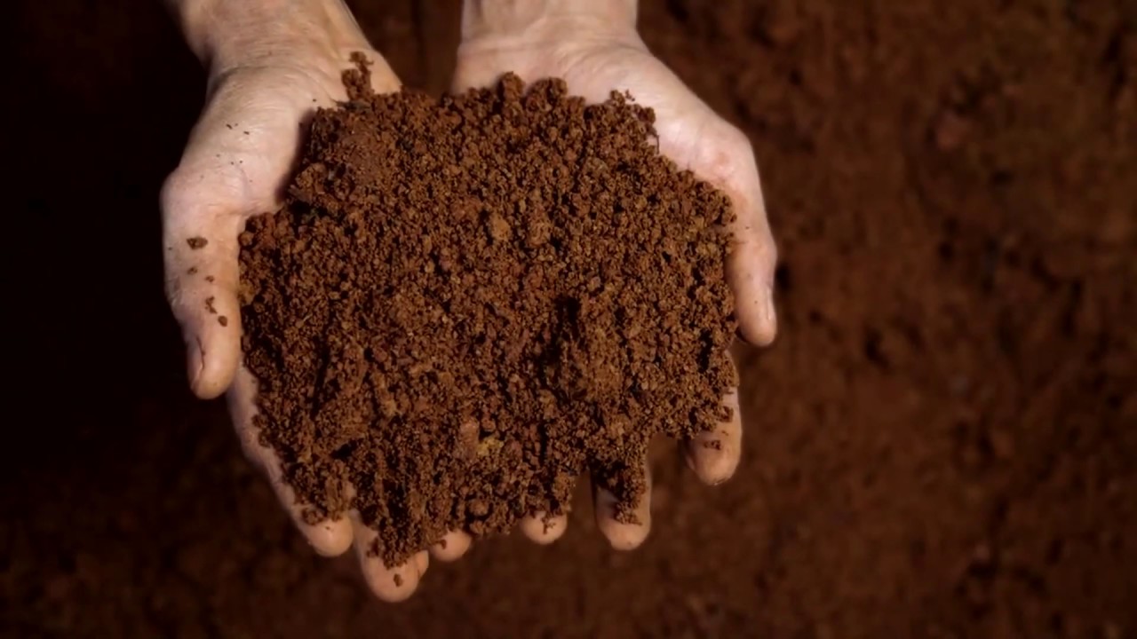 Organic Soil Fix - YouTube