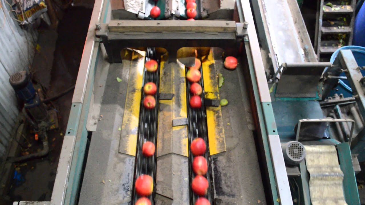 Sorting apples - YouTube