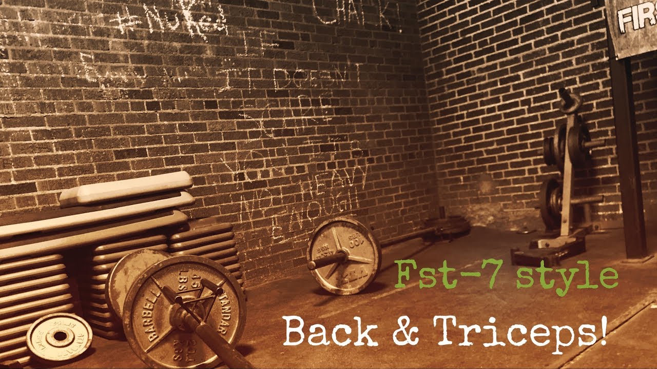 New Workout Split Fst-7 Style Back & Triceps Training ! Vlog #9 - YouTube