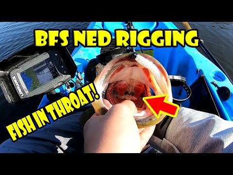 BFS Fishing using the Ned Rig for Winter Bass