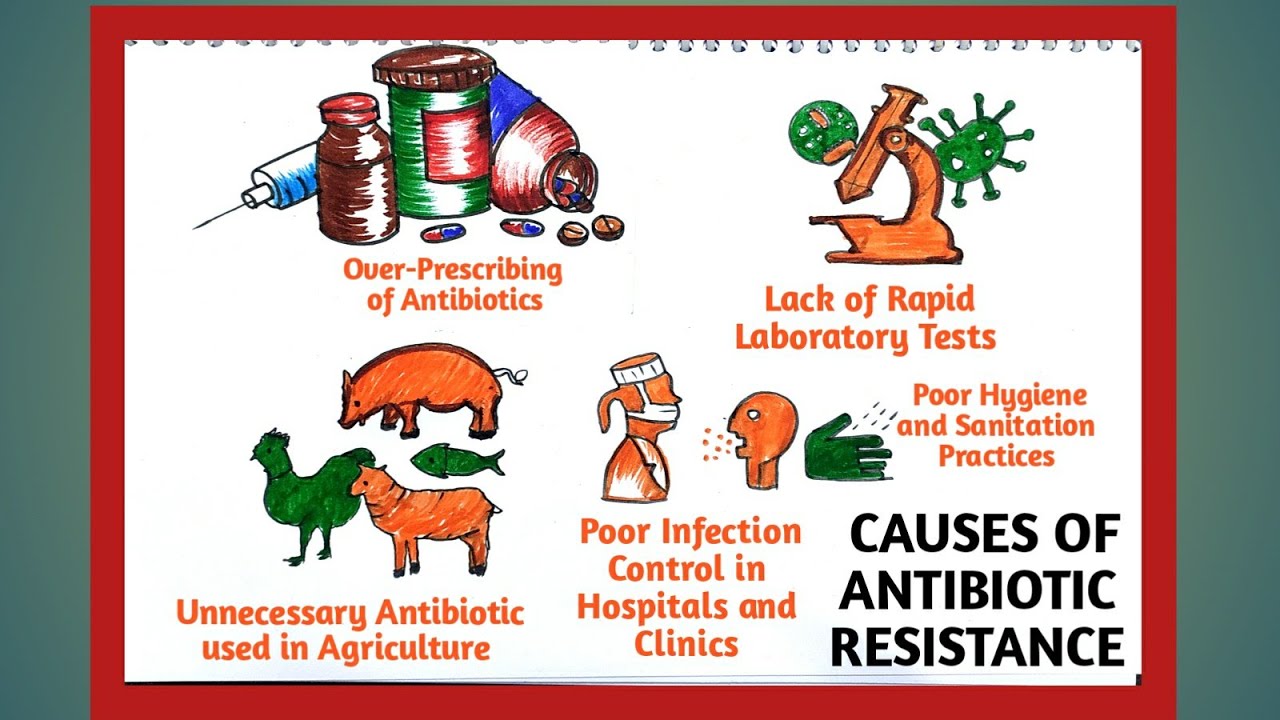 Antimicrobial Resistance Awareness Drawing #Art Integrated Learning ...