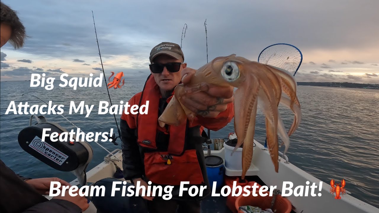 Black Bream Fishing From My Small Fishing Boat Using Baited Feathers ...