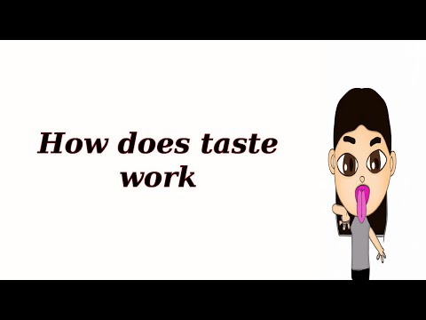 How does taste work? - YouTube