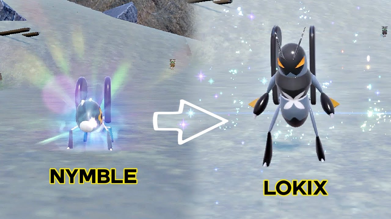 Nymble evolves to Lokix // Pokemon Evolution - YouTube
