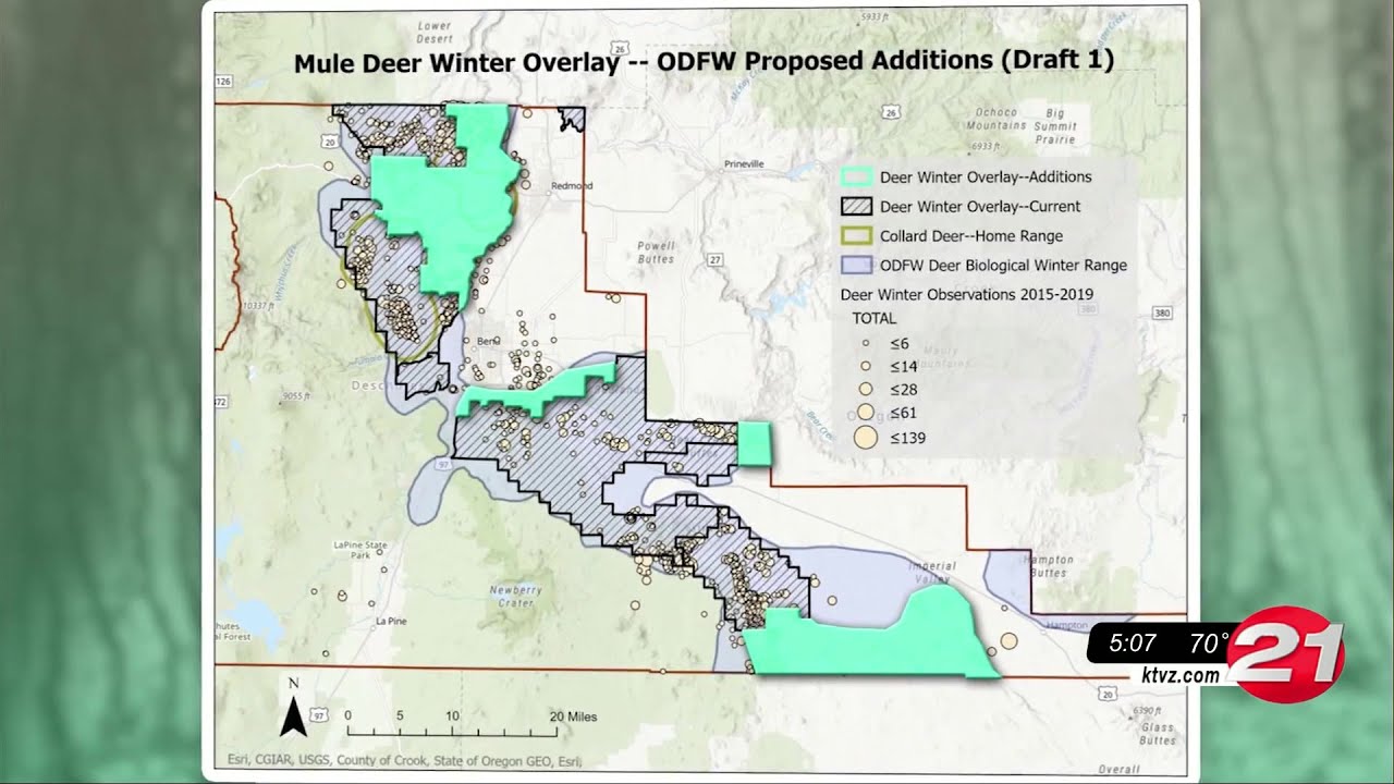 Blacktail Deer Range