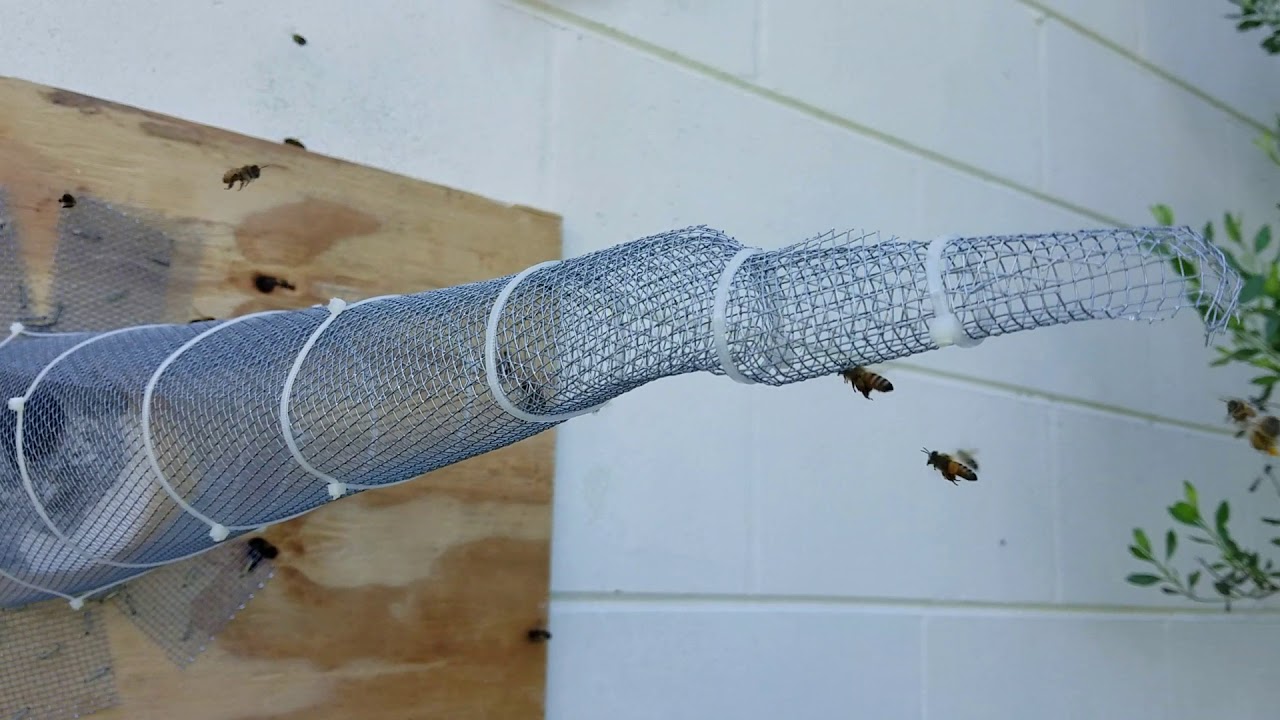 Set up Trap-out 7-1-18 - YouTube