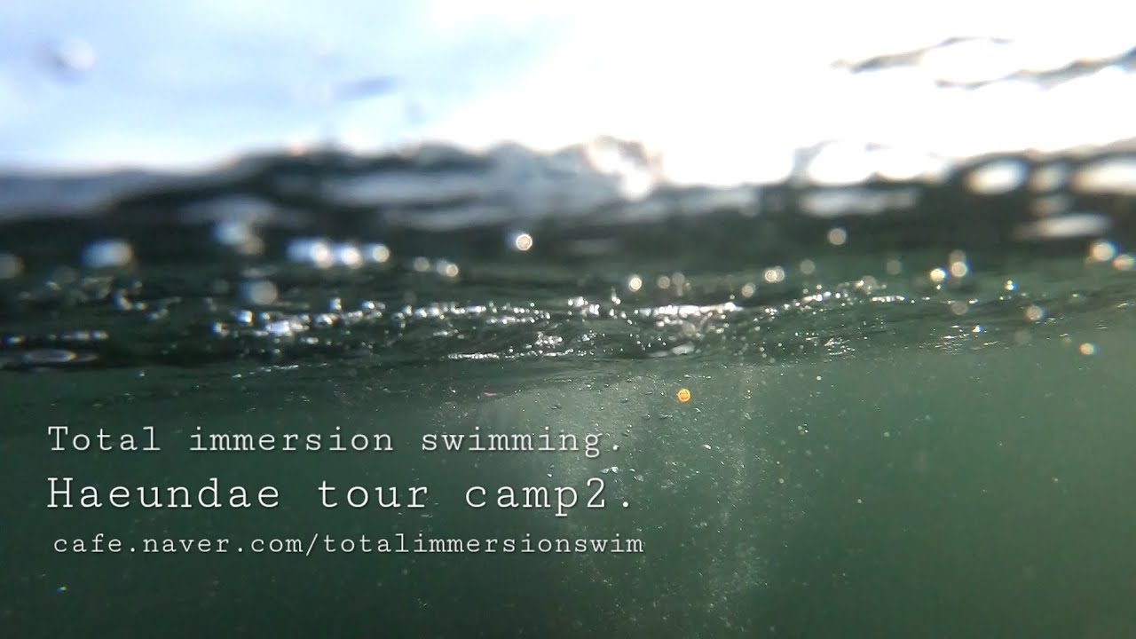 Total Immersion swimming camp in Haeundae (2) - YouTube