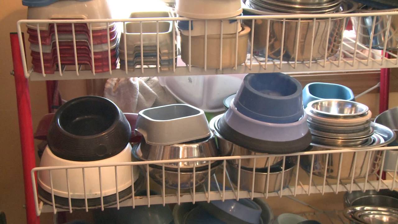 NECCOG Process Documentary - YouTube