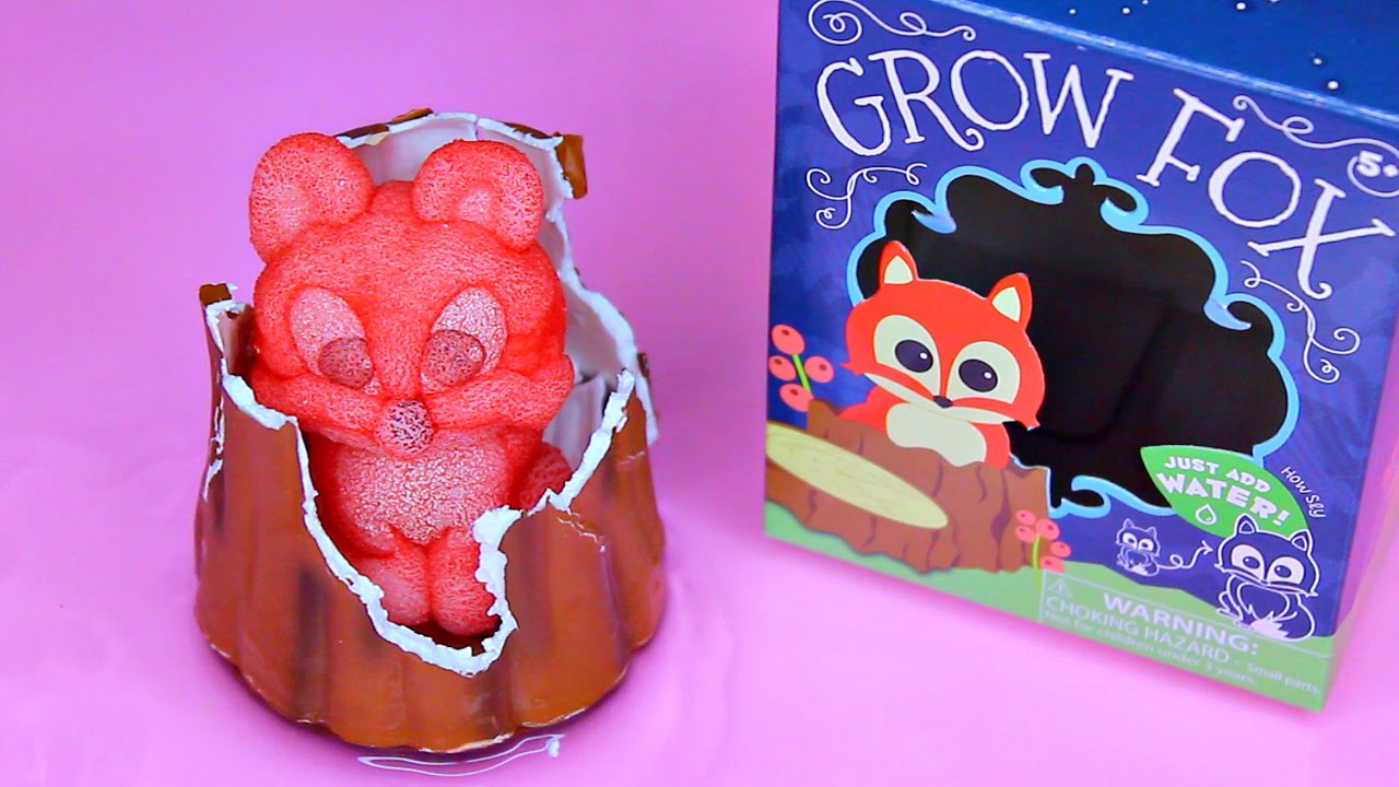 Grow a FOX! Toy Fox that GROWS! Growing Fox Time Lapse - YouTube
