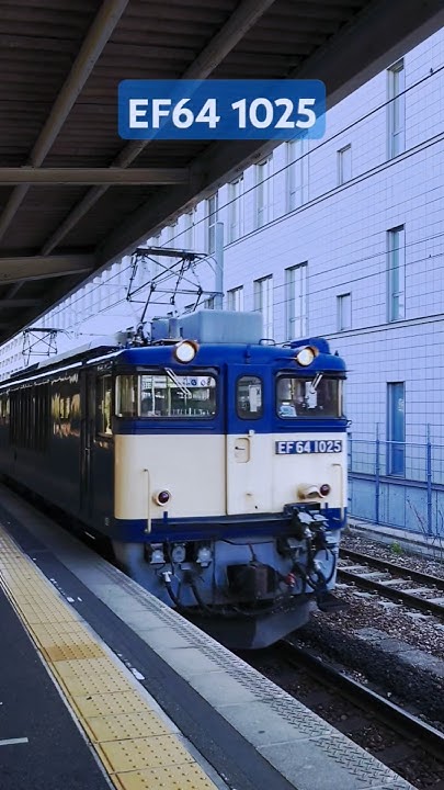 【貨物】EF64 1025号機 通過 #shorts #ef64 #貨物列車 #freighttrain #freight #jr貨物 - YouTube