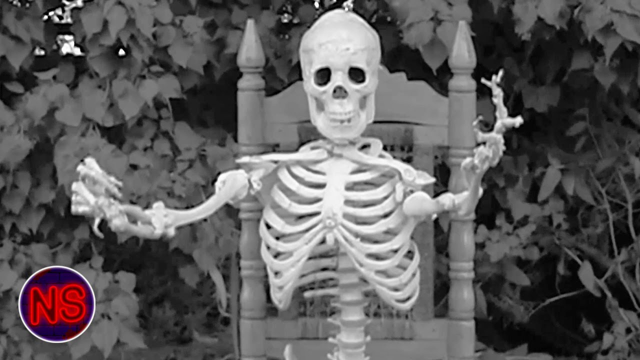 "Now You Must Pay!" | The Lost Skeleton of Cadavra (2001) | Now Scaring ...