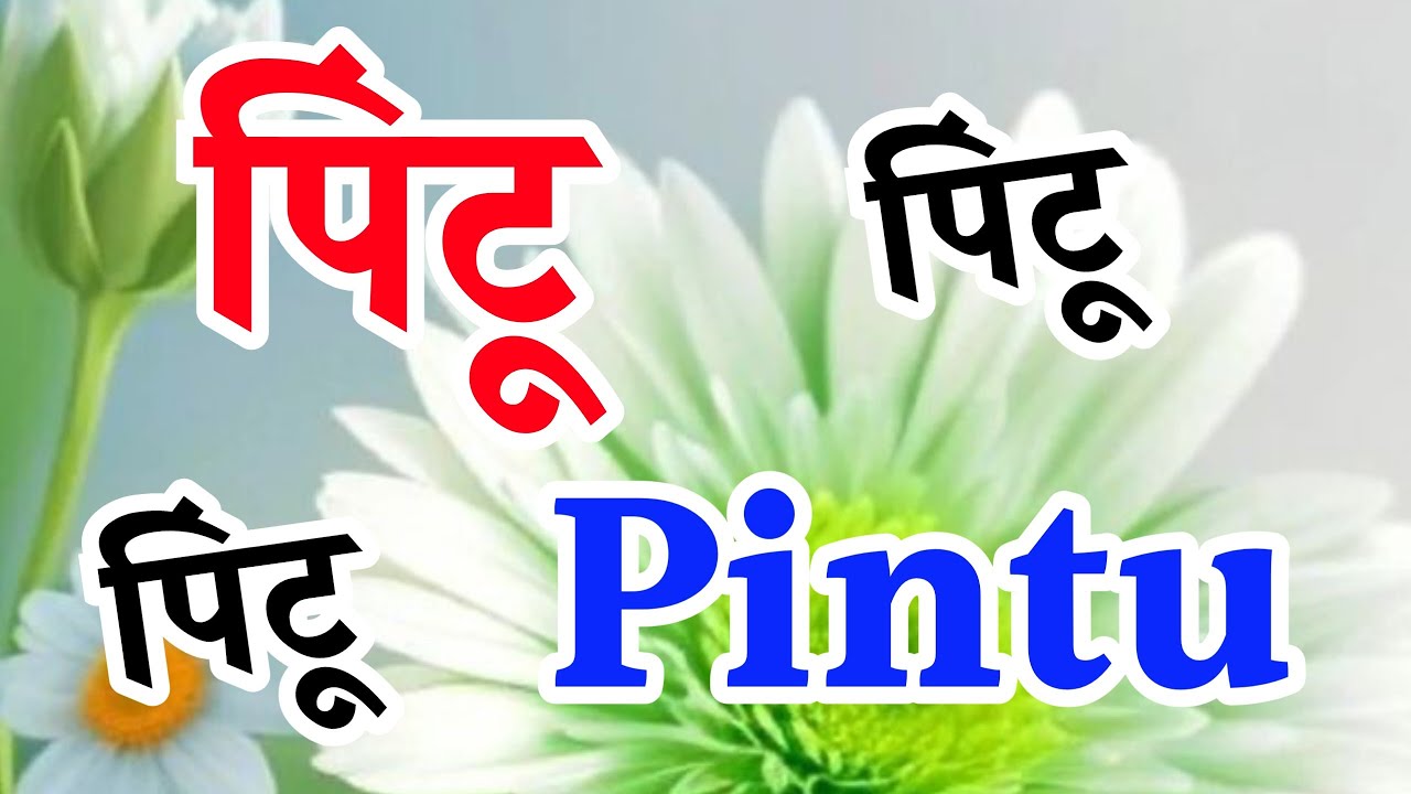 Pintu name ki shayari 🌹 पिंटू जी के लिए स्पेशल शायरी वीडियो 🌹 Pintu ...