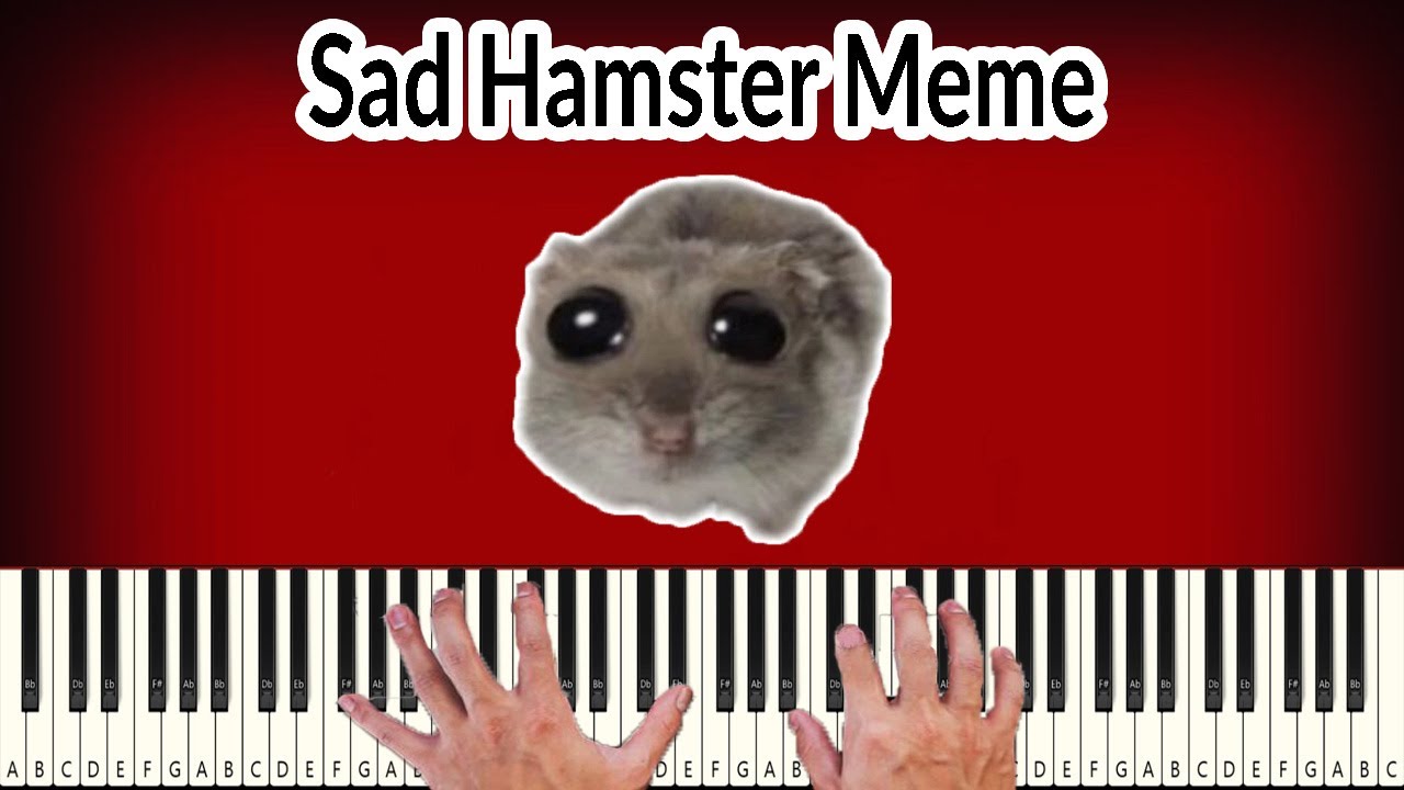 Sad Hamster Meme (Full Version) - PIANO TUTORIAL - YouTube