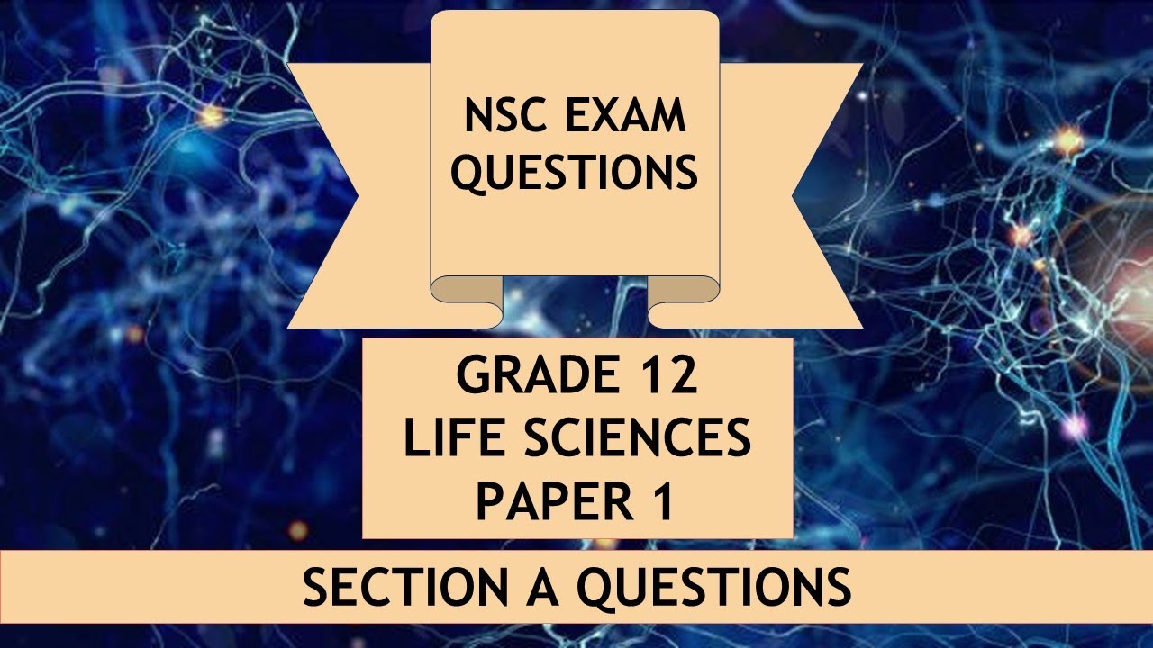Section A Questions - Grade 12 - Paper 1 - NSC Exam Prep - YouTube