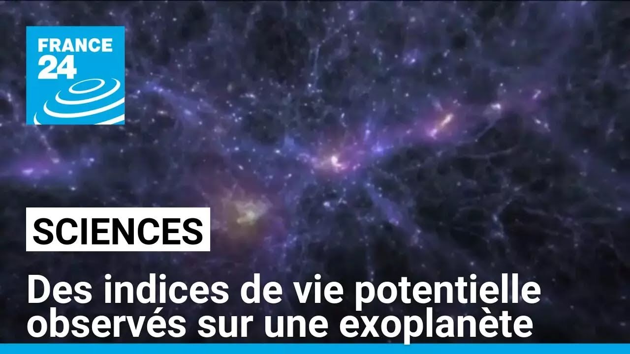Des indices de vie potentielle observés sur une exoplanète • FRANCE 24 ...