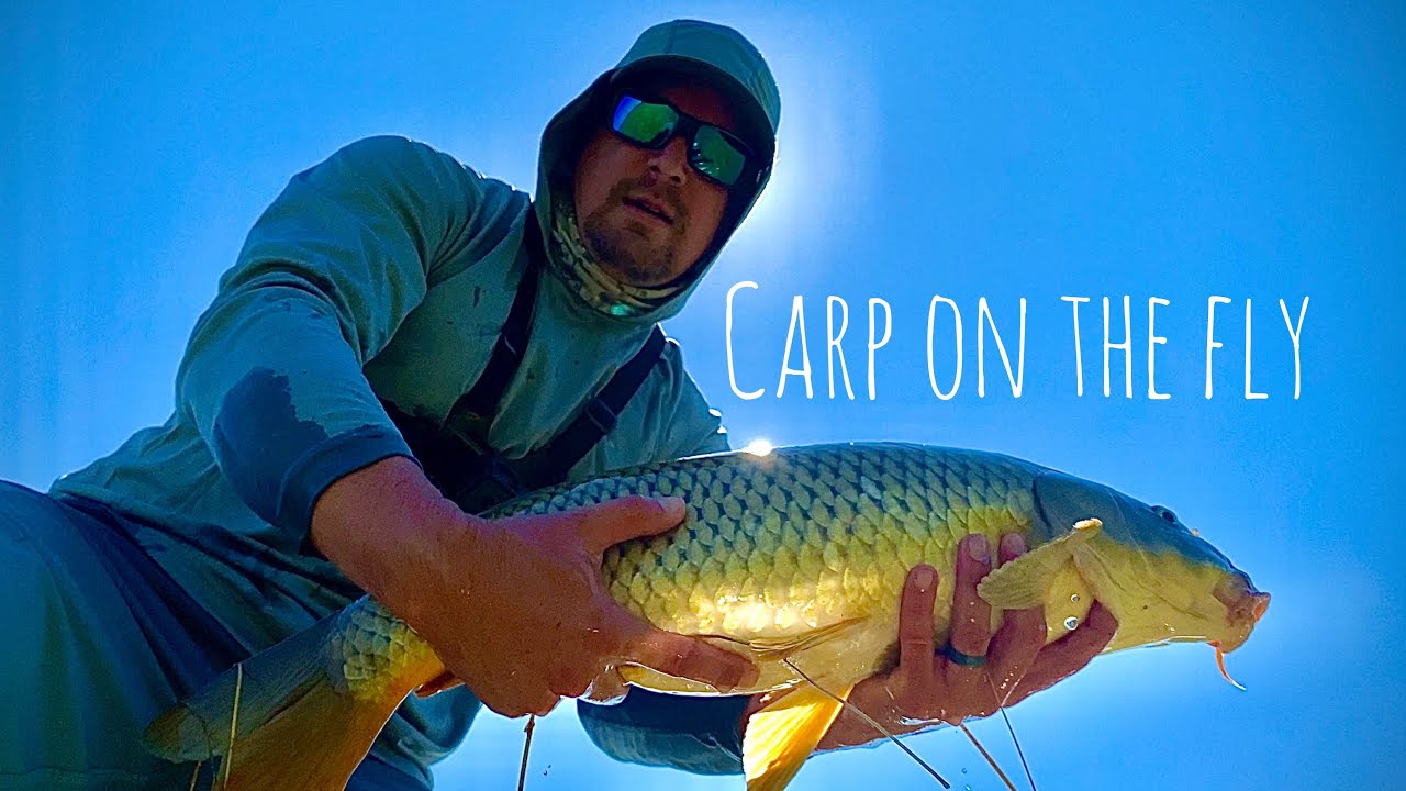 Fly Fishing For Carp // In The Pacific Northwest - YouTube