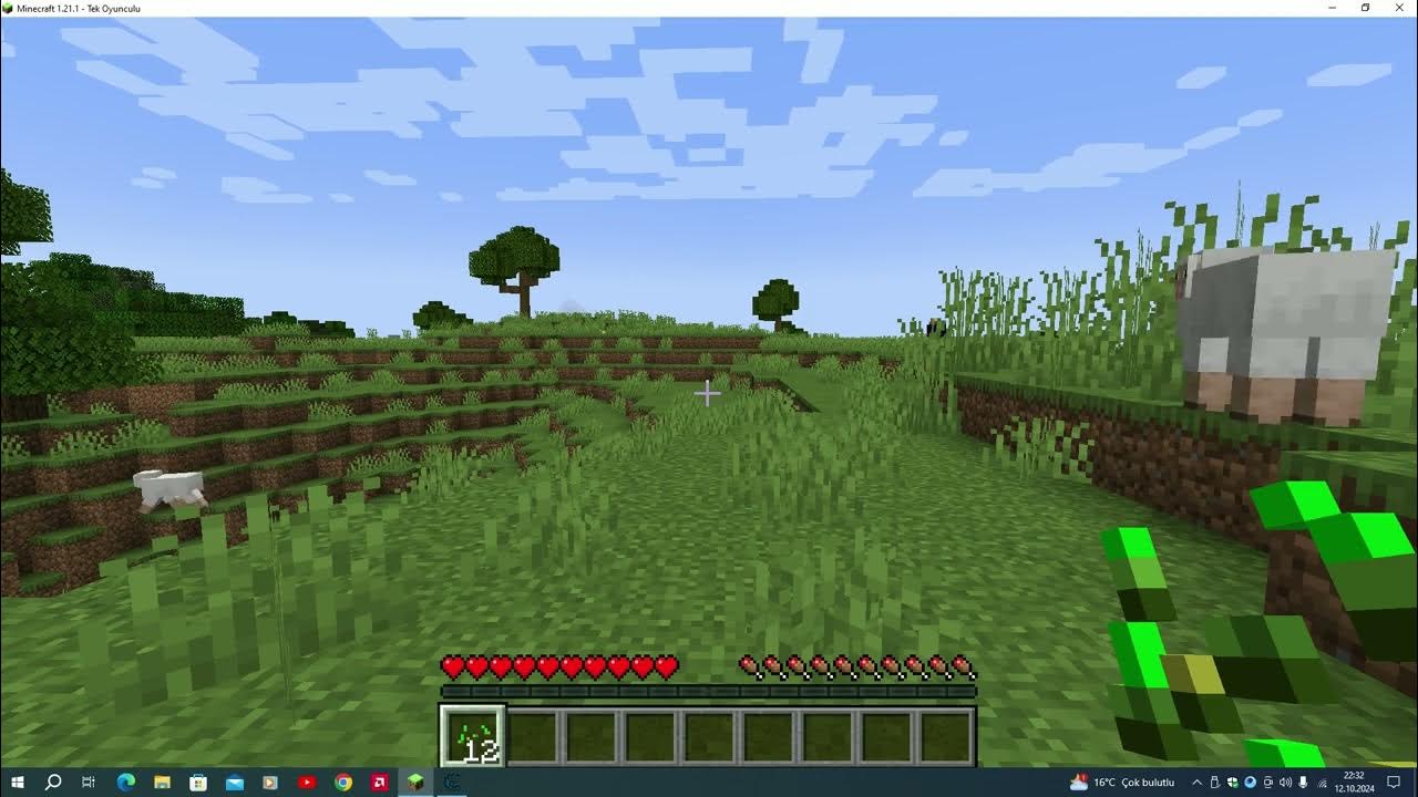minecraft cheat engine hile yapma - YouTube