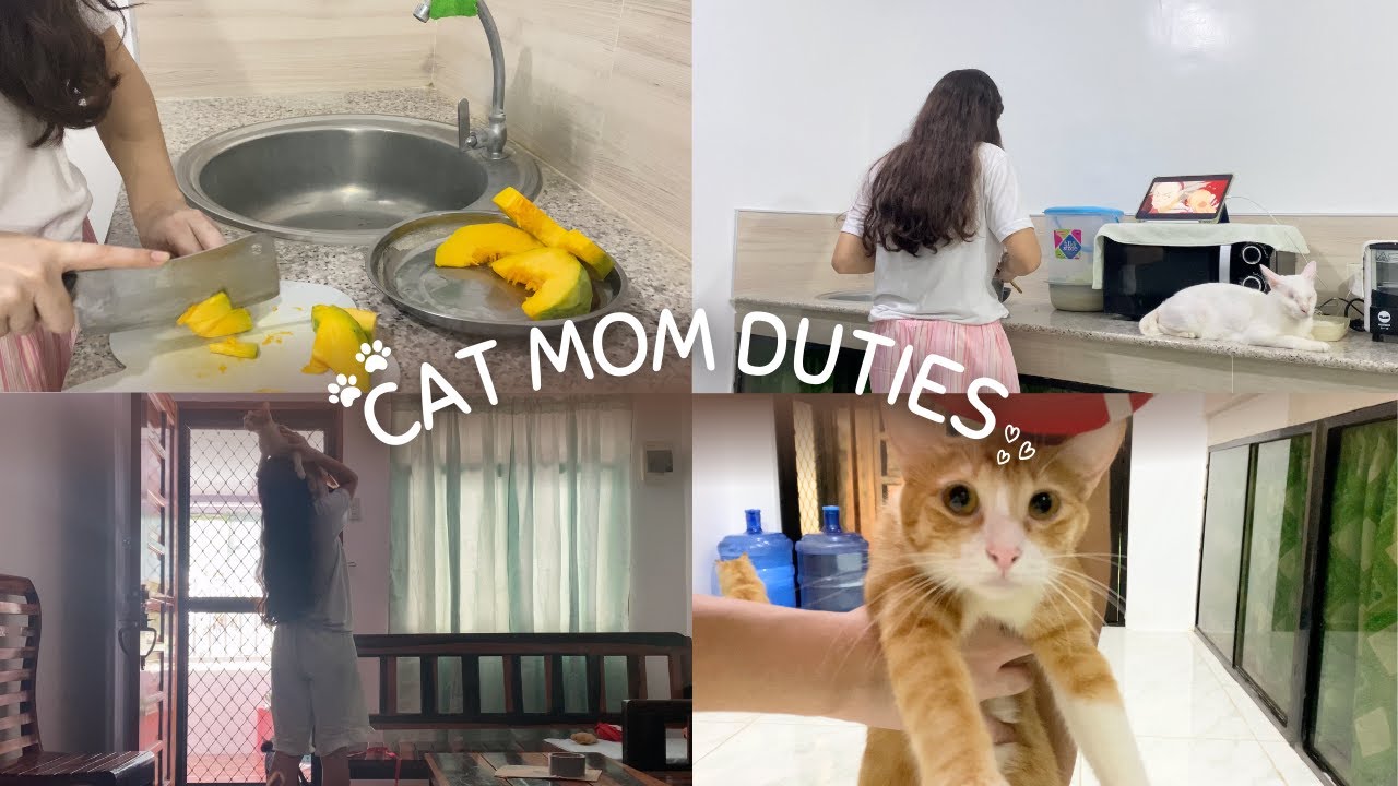 Cat Mom Duties: A Day in My Life 🐱 - YouTube