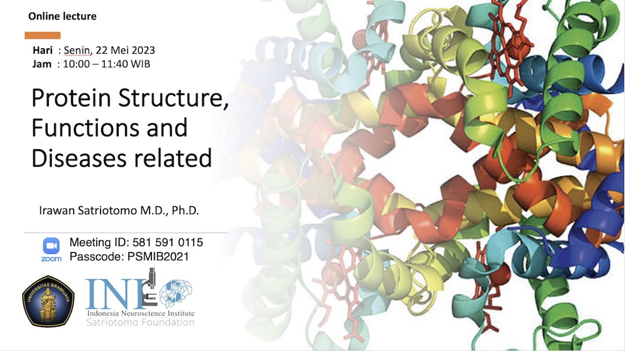 Protein structure, Function and Diseases related - YouTube