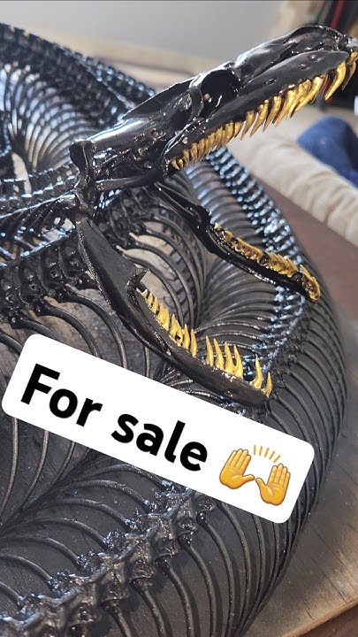 16ft PYTHON SKELETON #fyp #foryou #python #explore #fypシ #skeleton # ...