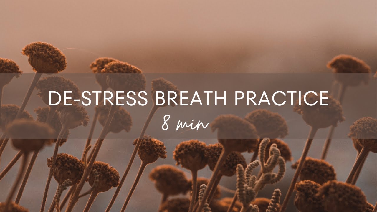 De-stress Breath Practice - 8 min - YouTube