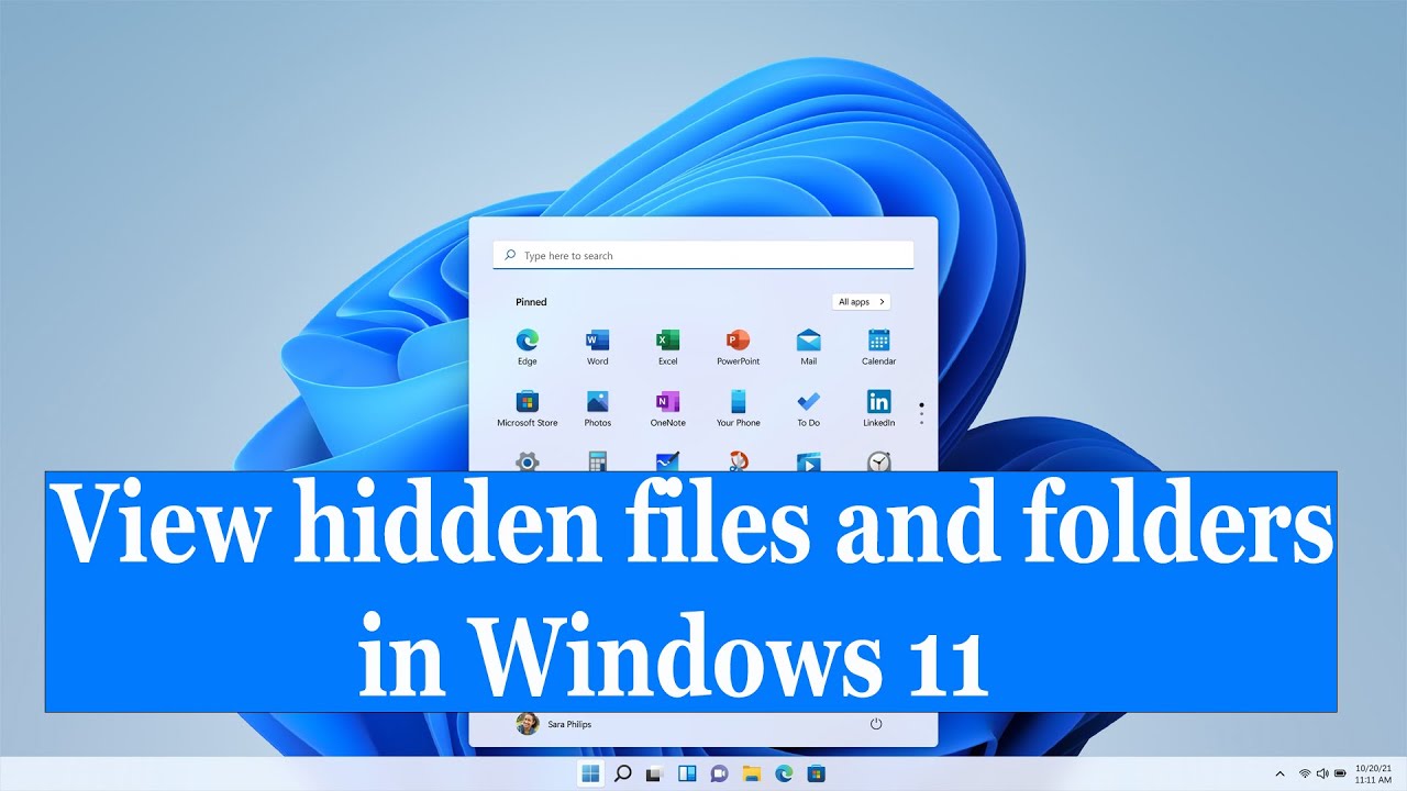 How to view hidden files and folders in Windows 11 - YouTube