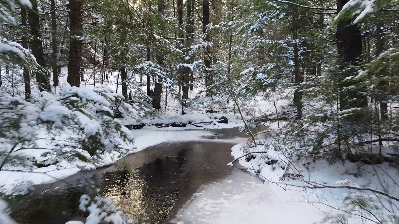 Free Winter Stream Footage II Videos Without COPYRIGHT - YouTube