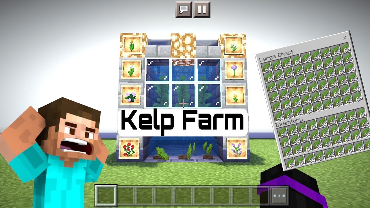 Kelp Farm Tutorial : Minecraft : Steve Gamerz - YouTube