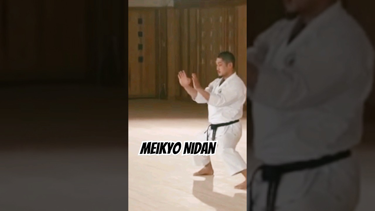 #Meikyo Nidan. #Shotokan #kata #karate #martialarts - YouTube