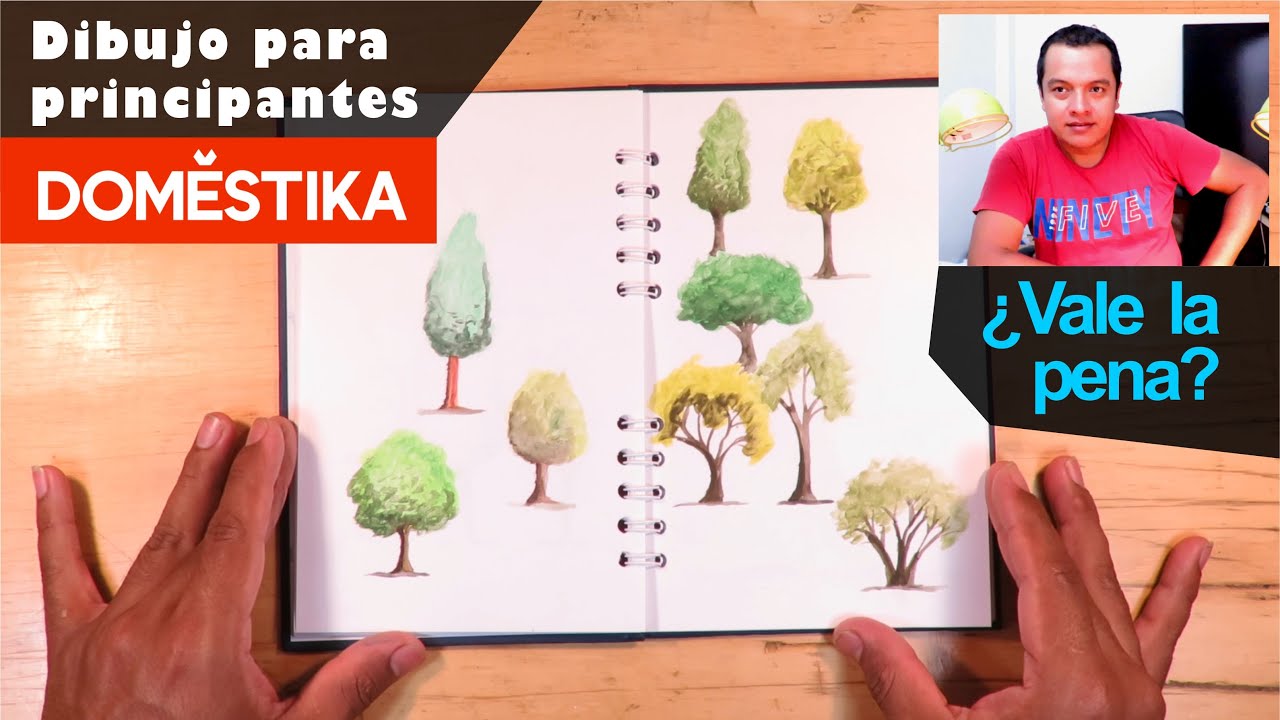 Aprendiendo con Domestika - Dibujo para principiantes Nivel -1 ¿¿Vale ...