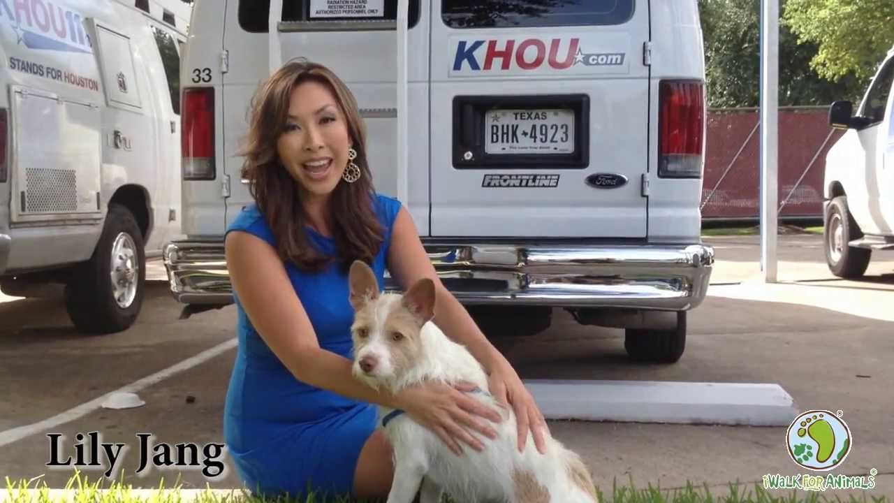 Lily Jang of KHOU 11 invites you to iWalk! | Houston SPCA - YouTube