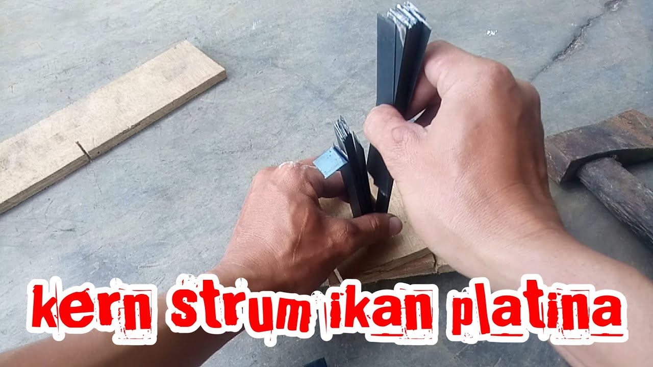 cara mudah membuat kern strum ikan - YouTube