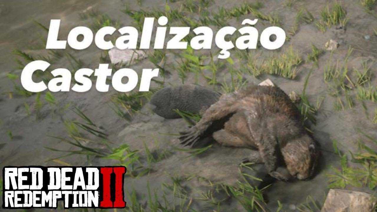 Localização Castor - Red Dead Redemption 2 - Desafio Diário - XboxOne ...