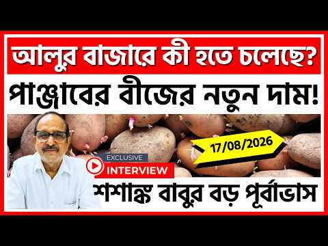 এবার আলুর বাজার কোন দিকে? পাঞ্জাবের বীজের দাম, সারা দেশের আলুর বাজার। এক্সক্লুসিভ শশাঙ্ক শেখর মাল