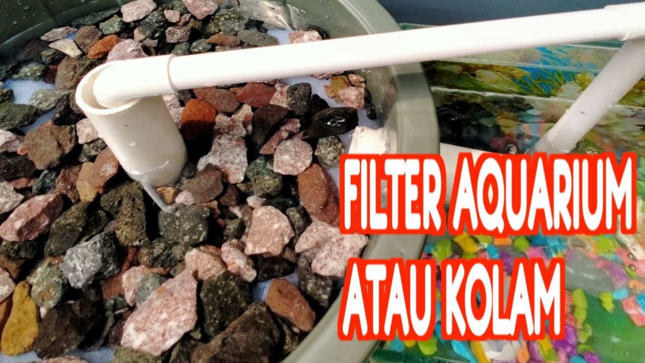Buat filter Aquarium / Filter kolam menggunakan ember [aquarium/pond ...