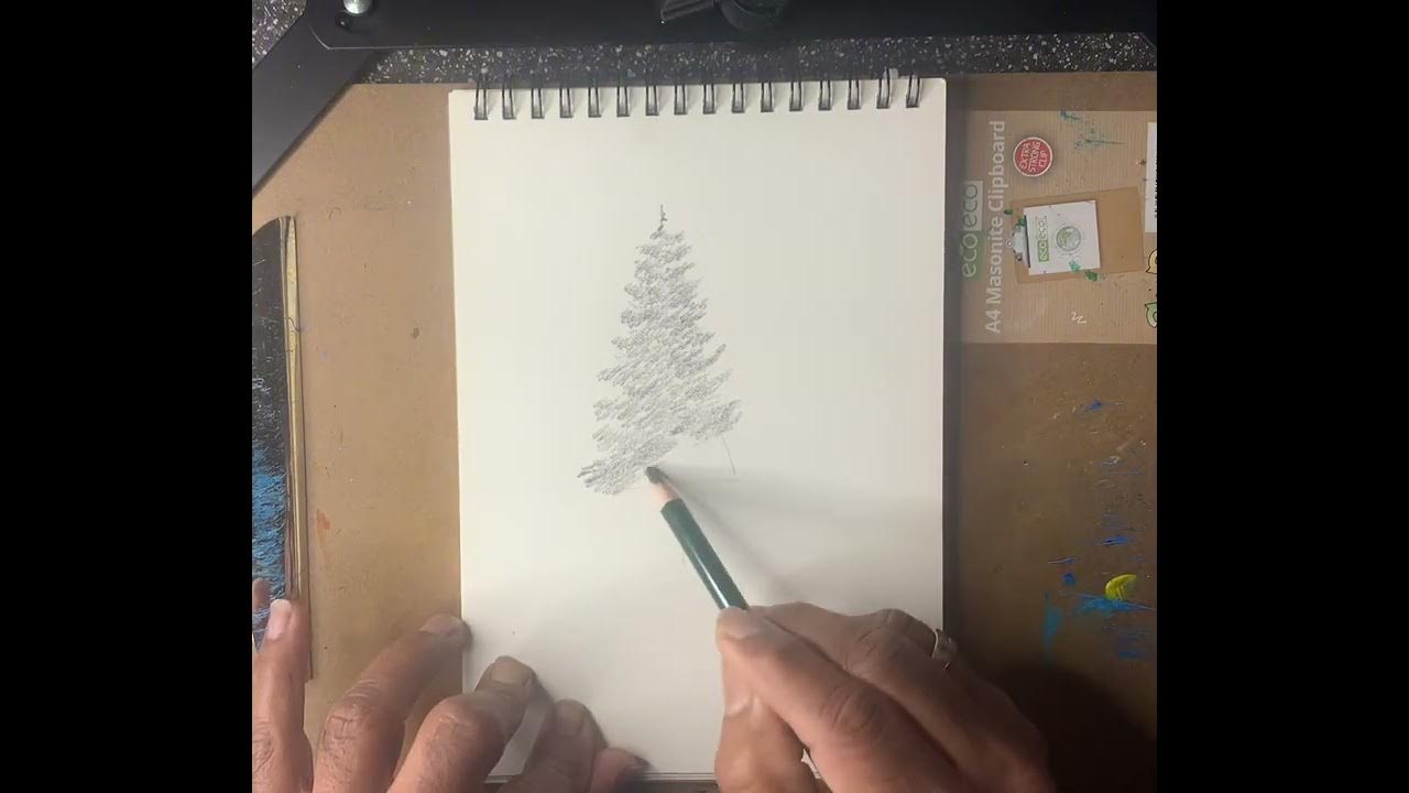 How to draw pine tree step by step - YouTube