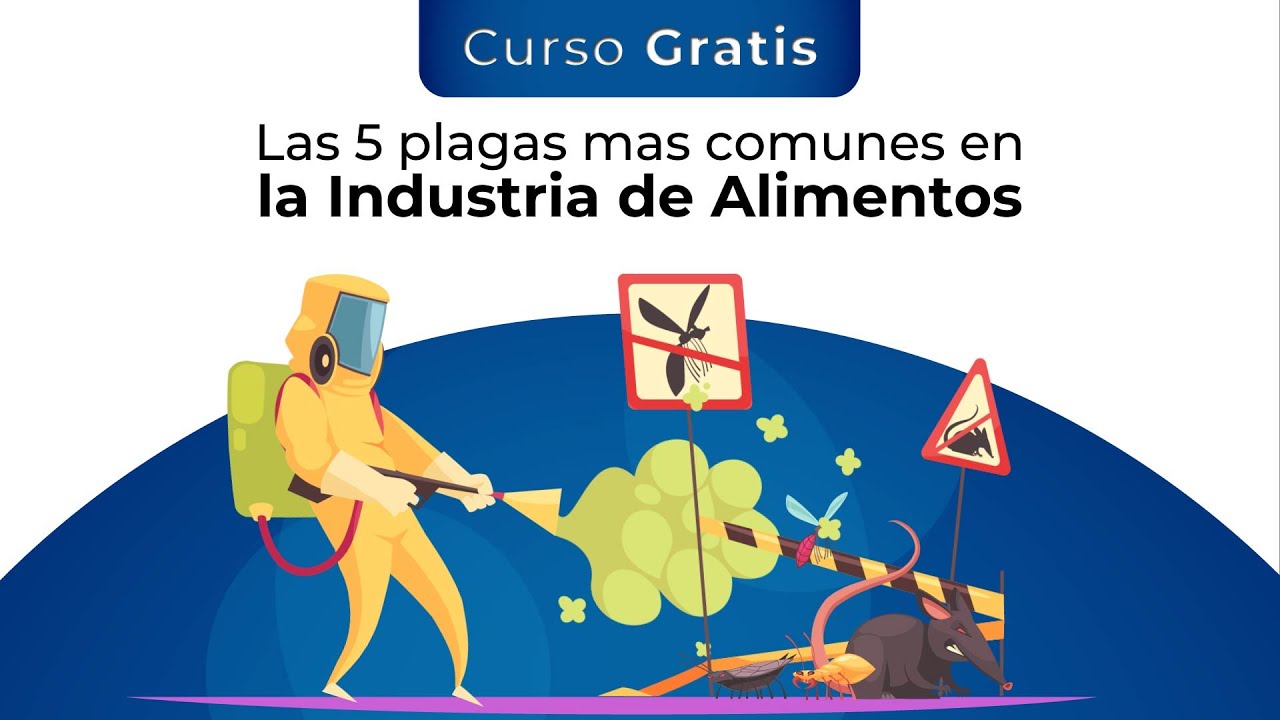 Curso Gratis: Las 5 Plagas Mas Comunes en la Industria de Alimentos ...