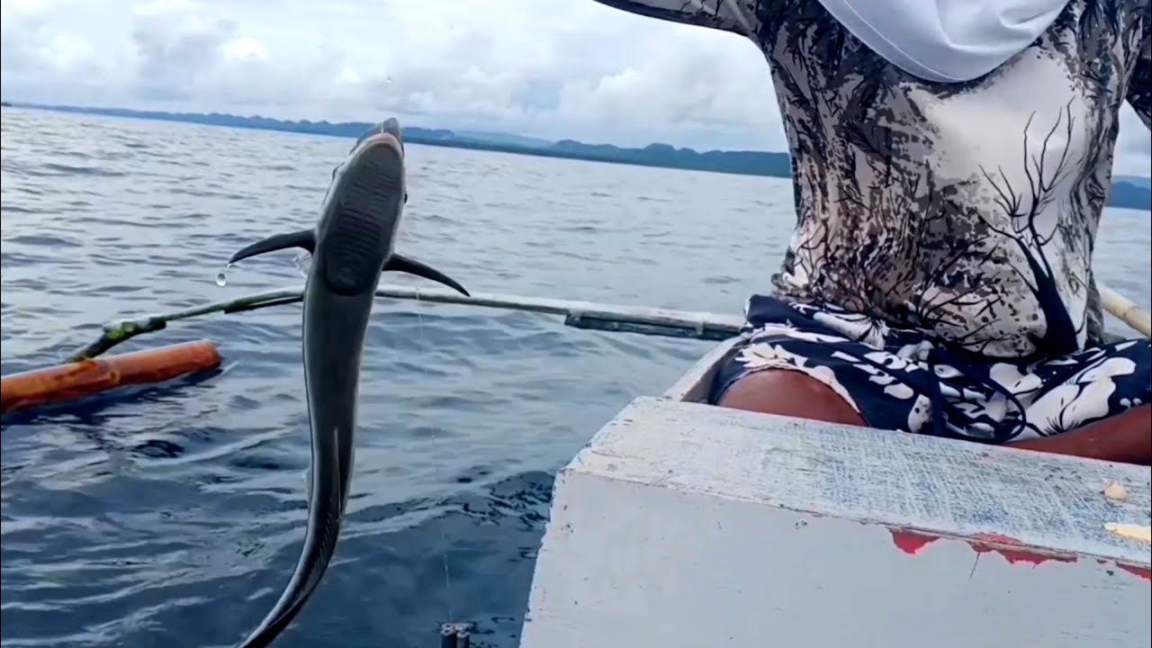 Anong isda to,parang pating, pwede ba kainin to? /traditional handline ...