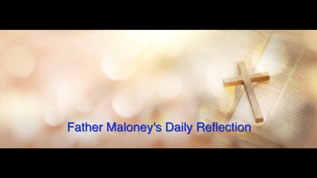 Daily Reflection Thursday, November 20th - YouTube