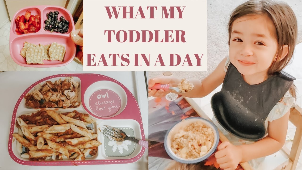 What My 2 Year Old Eats In A Day 2020 YouTube what-my-2-year-old-eats-in-a-day-2020-youtube