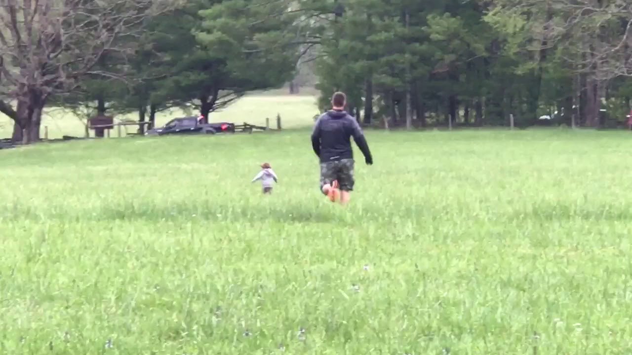 Run Away 2 Year Old At Cade s Cove Great Smokey Mountains National Park run-away-2-year-old-at-cade-s-cove-great-smokey-mountains-national-park