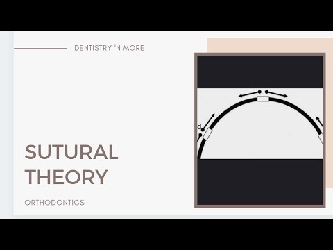 SUTURAL THEORY - YouTube